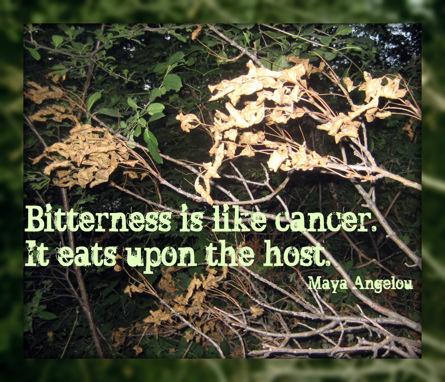 Forgiveness the Antidote to Bitterness - Conexus Counselling - Winnipeg ...